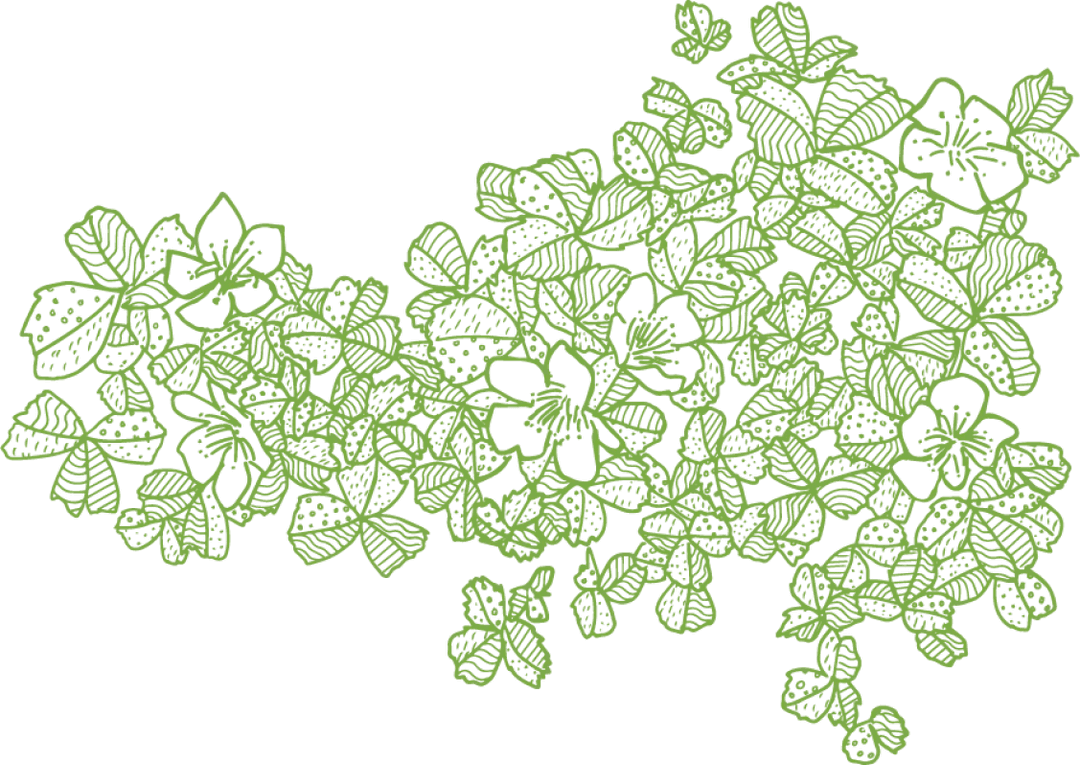 Piccino | Restaurants in the Presidio | The Presidio (San Francisco)