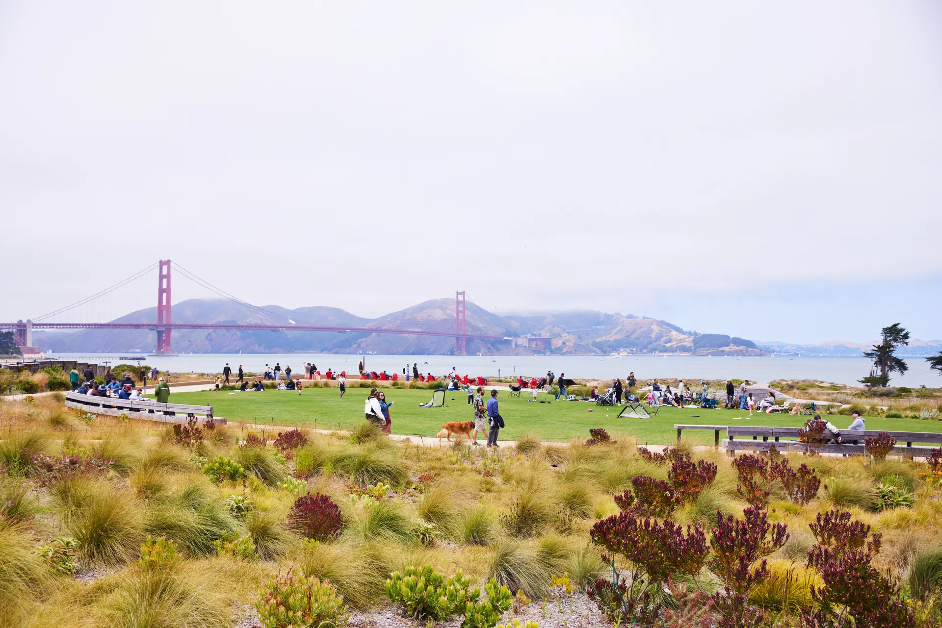 Welcome to the Presidio National Park Site (San Francisco)