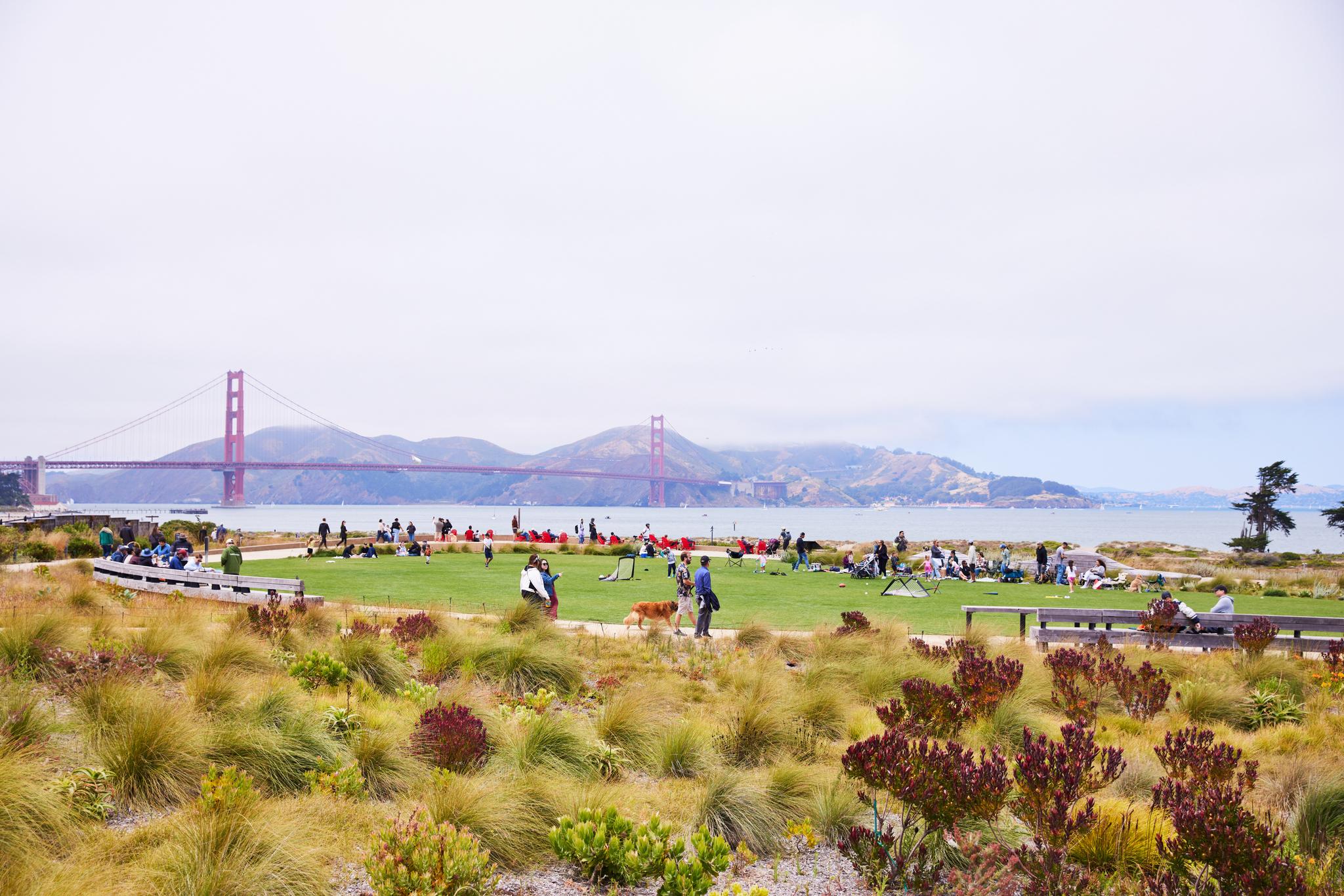 Welcome to the Presidio National Park Site (San Francisco)