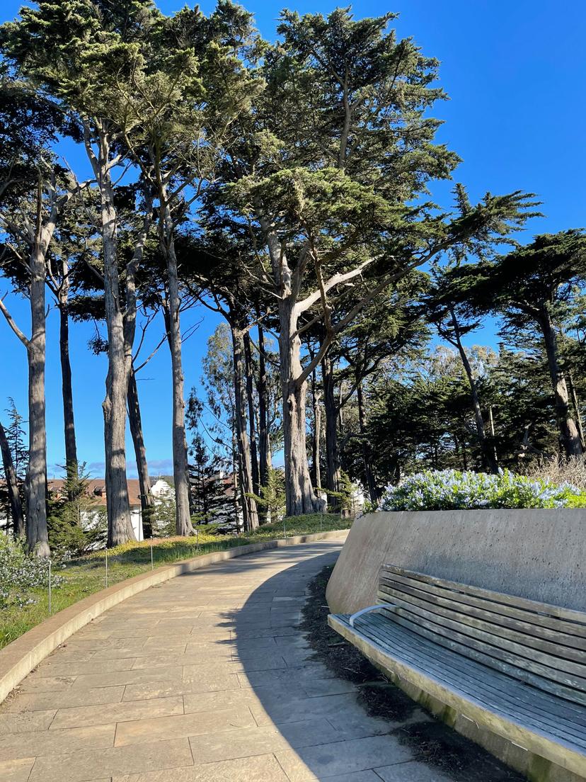 Golden Gate Overlook | Golden Gate Bridge Views | The Presidio (San ...