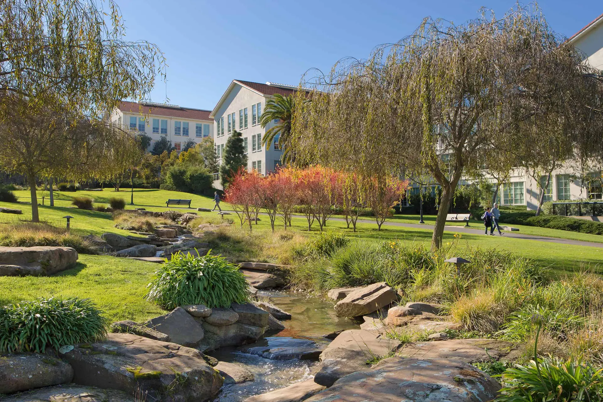 Letterman One | Presidio National Park | The Presidio (San Francisco)