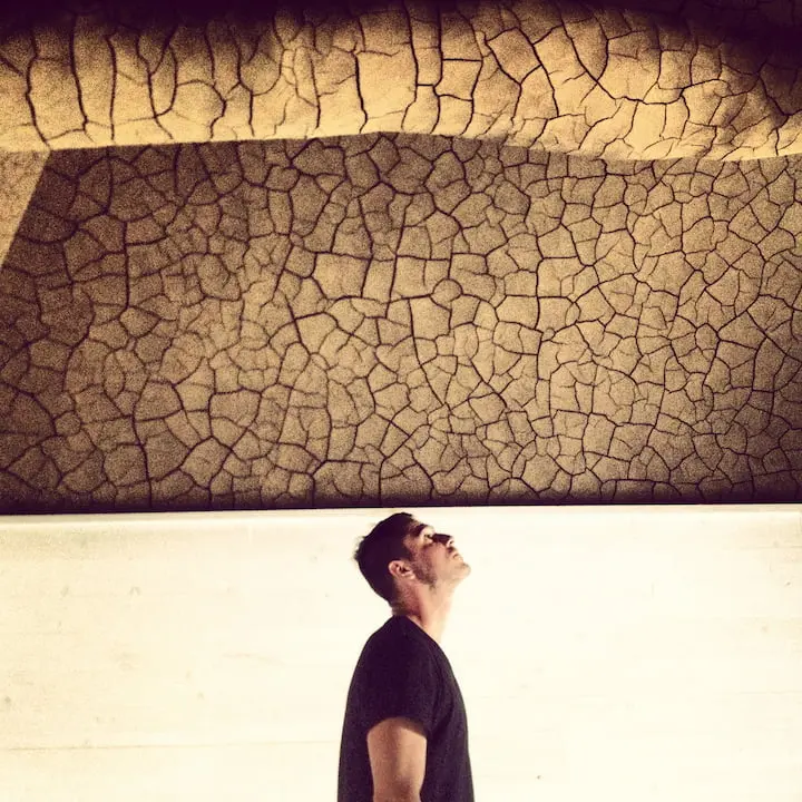 Andy Goldsworthy’s Tree Fall | Andy Goldsworthy Presidio | The Presidio ...