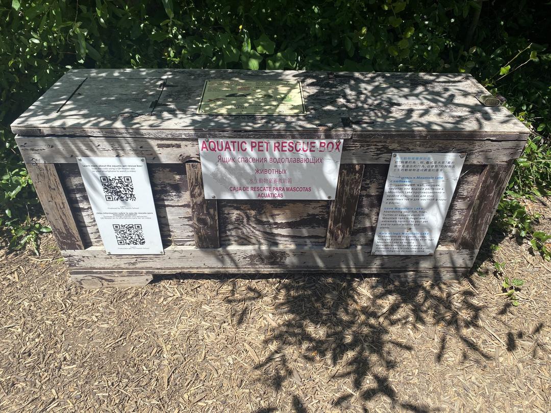 Mountain Lake | Natural History | The Presidio (San Francisco)