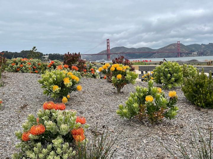 Golden Gate Bridge Views & a Presidio Picnic | Golden Gate View Point ...
