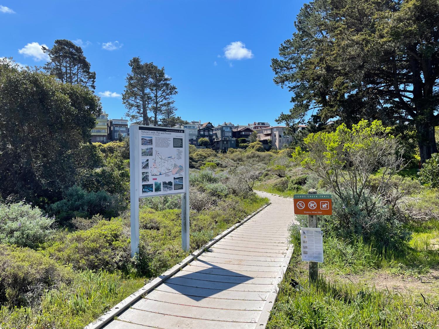 lobos-creek-valley-trail-nature-trails-near-me-the-presidio-san