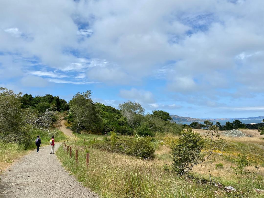 Ecology Trail - The Presidio (San Francisco)