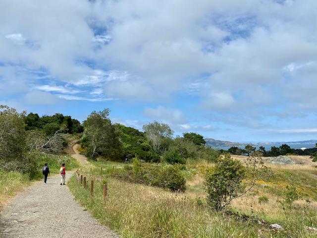 Ecology Trail - The Presidio (San Francisco)
