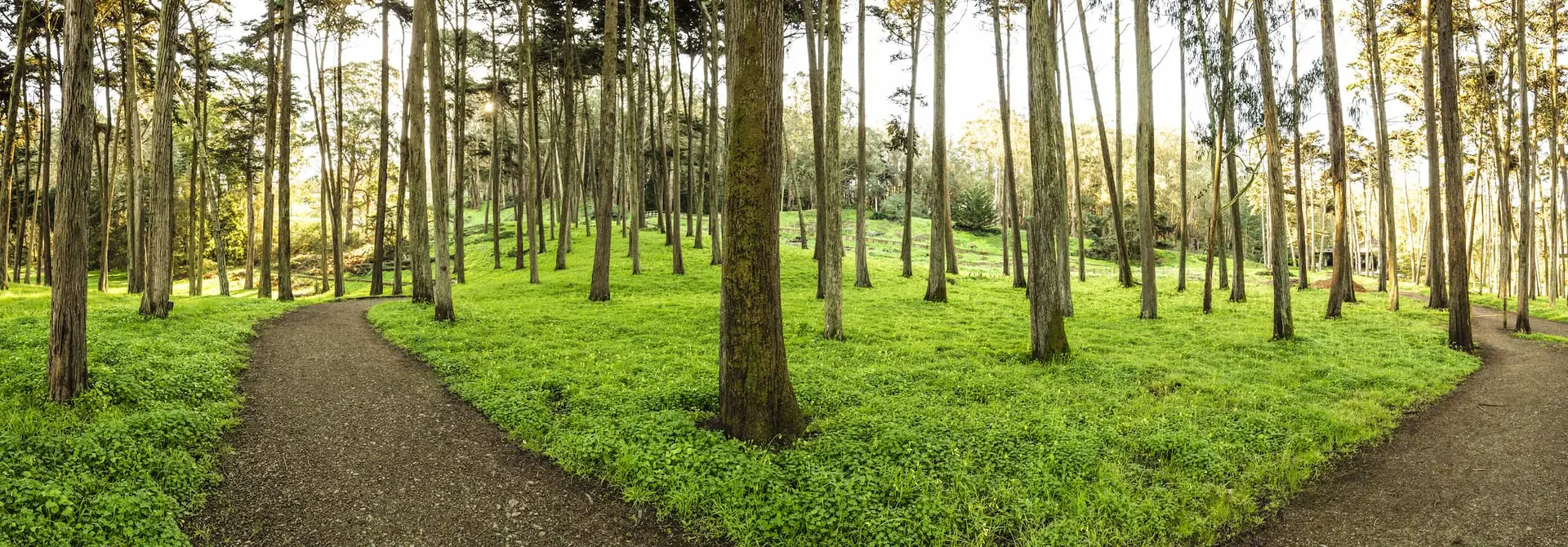 About the Presidio - The Presidio (San Francisco)