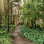 Welcome to the Presidio National Park Site (San Francisco)