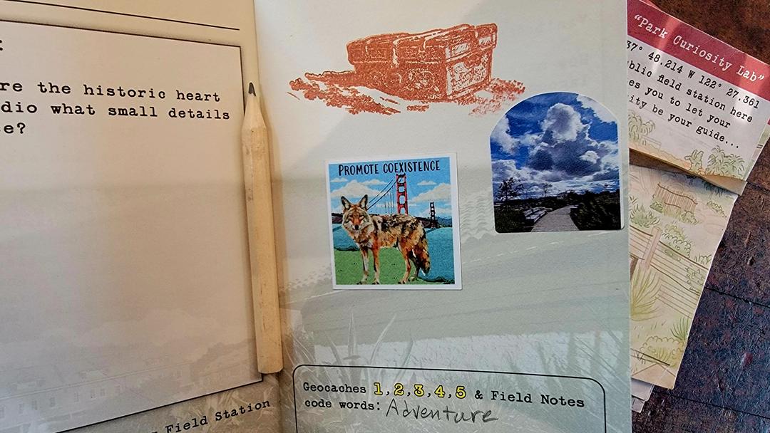 Field Station | Free Family Activities Near Me | The Presidio (San ...