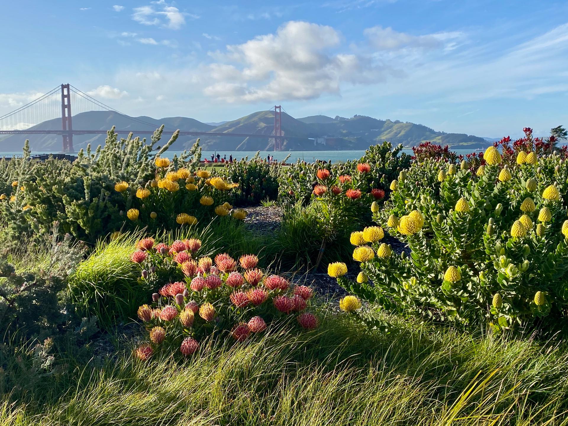 Welcome to the Presidio National Park Site (San Francisco)
